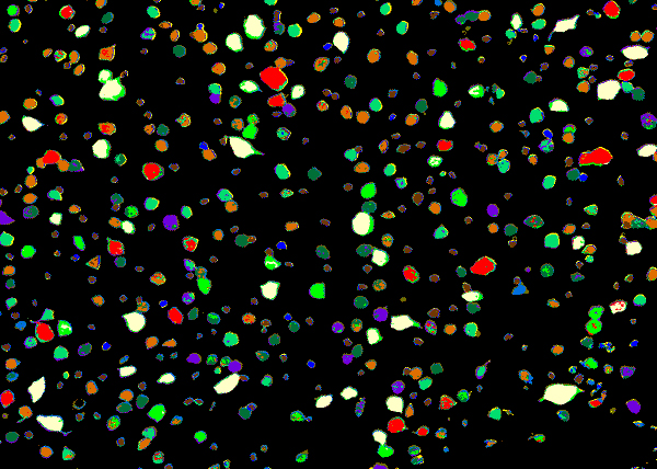 CMP Datasets | BWJoneslab