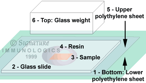 Epoxy Resin Sample Stacks/Mosaics | BWJoneslab