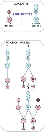 CMP Substrates | BWJoneslab